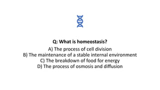 Introduction to the Basics of Human Anatomy and Physiology ...