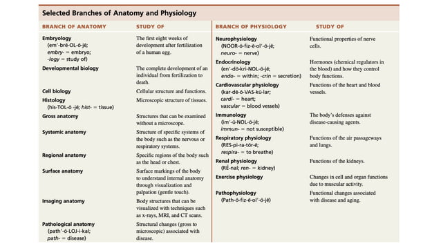 Introduction to the Basics of Human Anatomy and Physiology ...