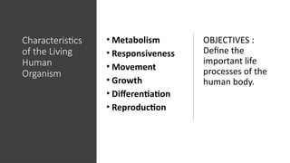 Introduction to the Basics of Human Anatomy and Physiology ...