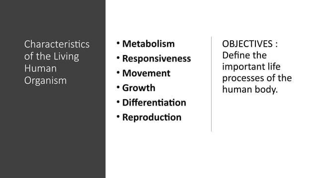 Introduction to the Basics of Human Anatomy and Physiology ...