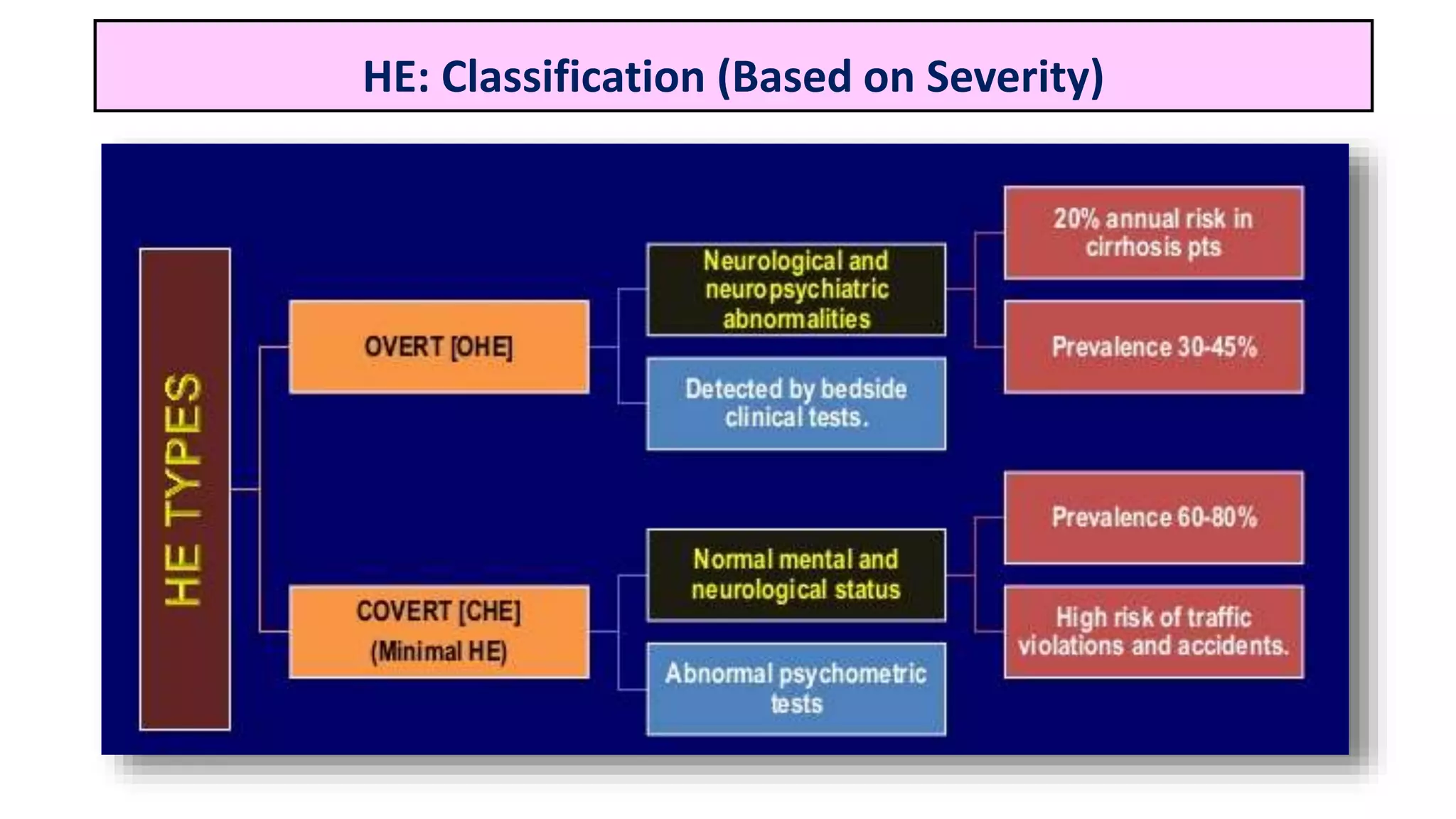 Basics of Hepatic Encephalopathy | PPTX | Brain and Nervous System ...