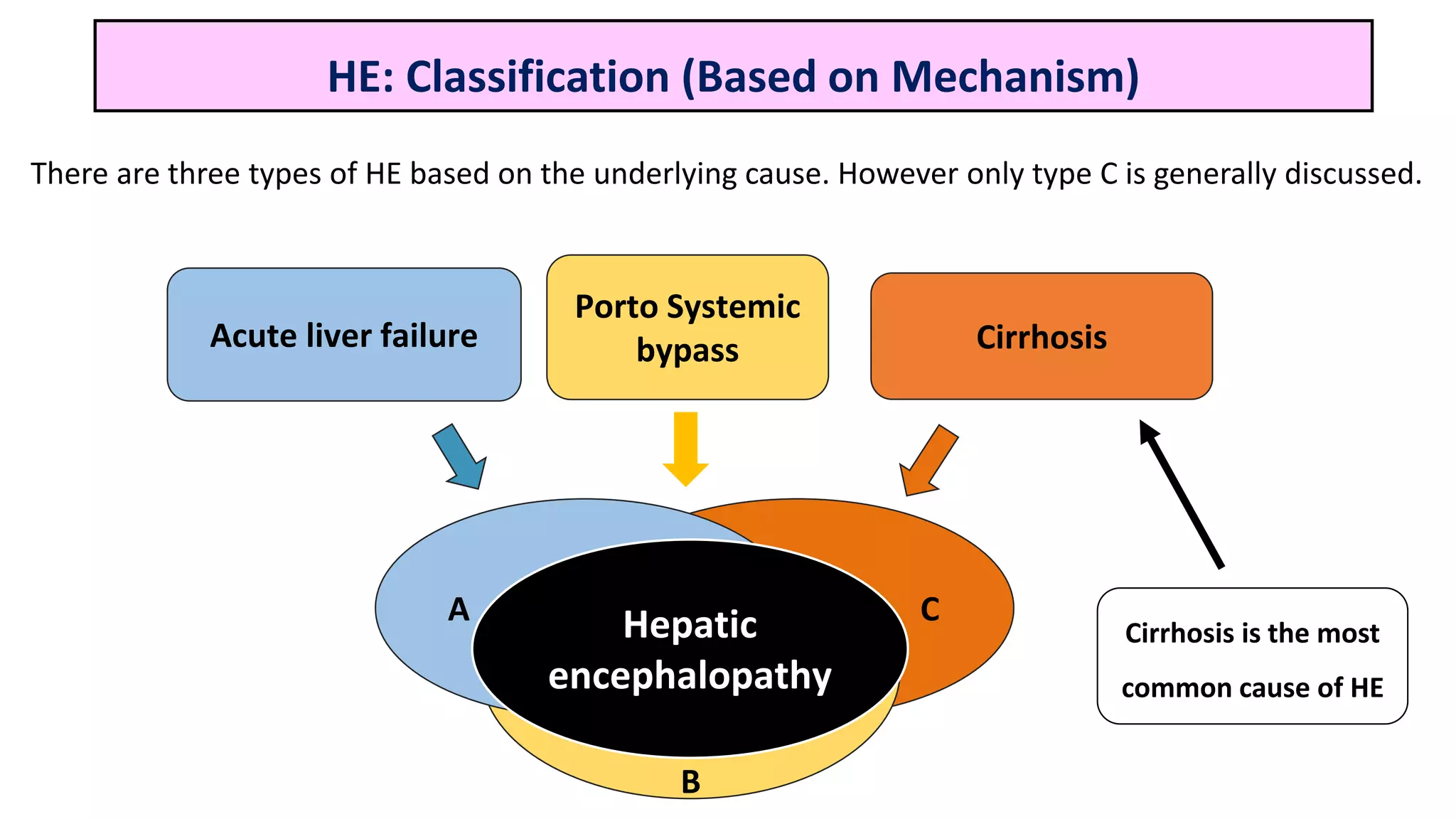 Basics of Hepatic Encephalopathy | PPTX | Brain and Nervous System ...