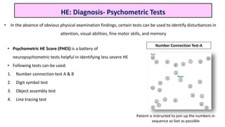 Basics of Hepatic Encephalopathy | PPTX | Brain and Nervous System ...