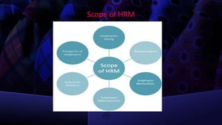 Basics of Human Resource Management | PPTX | Human Resources | Business