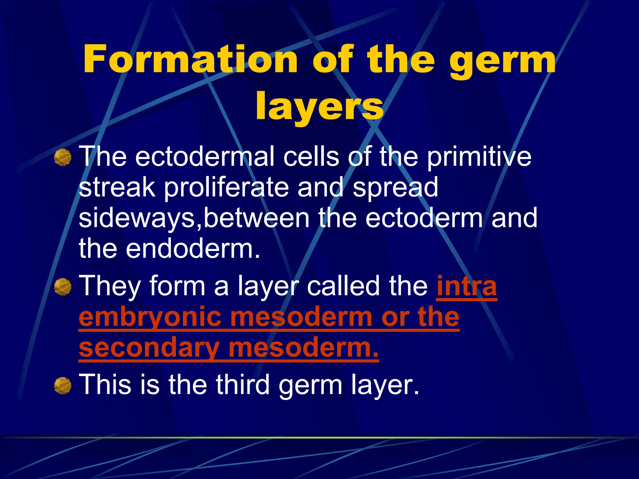 Basics of Human Embryology including dental applications | PPT