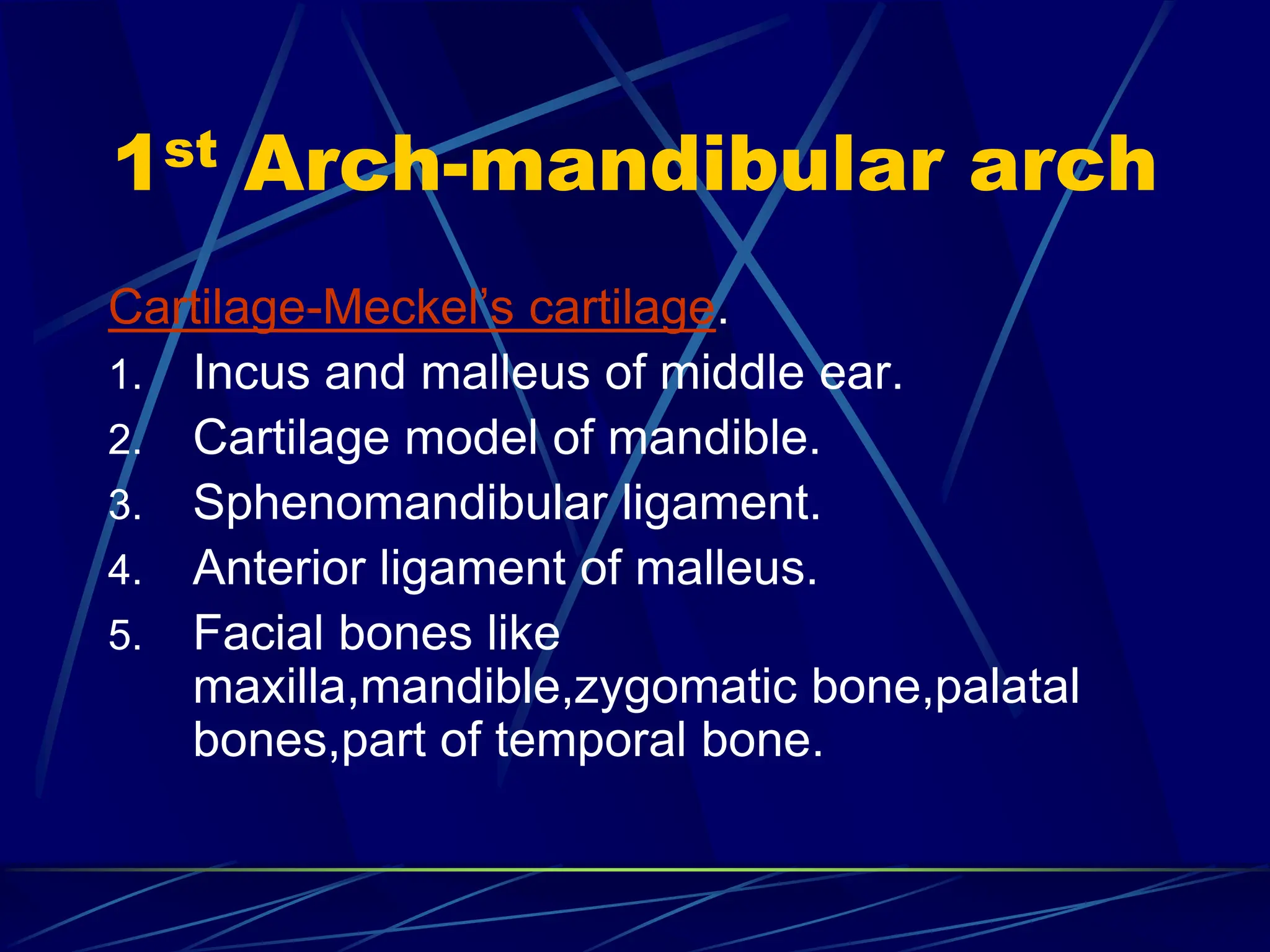 Basics of Human Embryology including dental applications | PPT