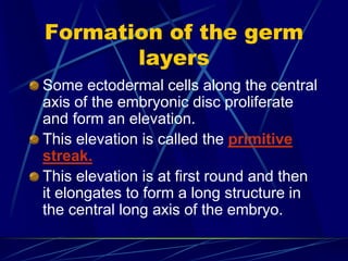 Basics of Human Embryology including dental applications | PPT