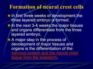 Basics of Human Embryology including dental applications | PPT