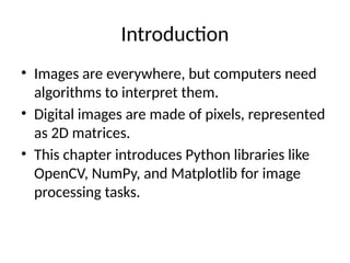 Basics of Image Processing and Computer Vision | PPTX