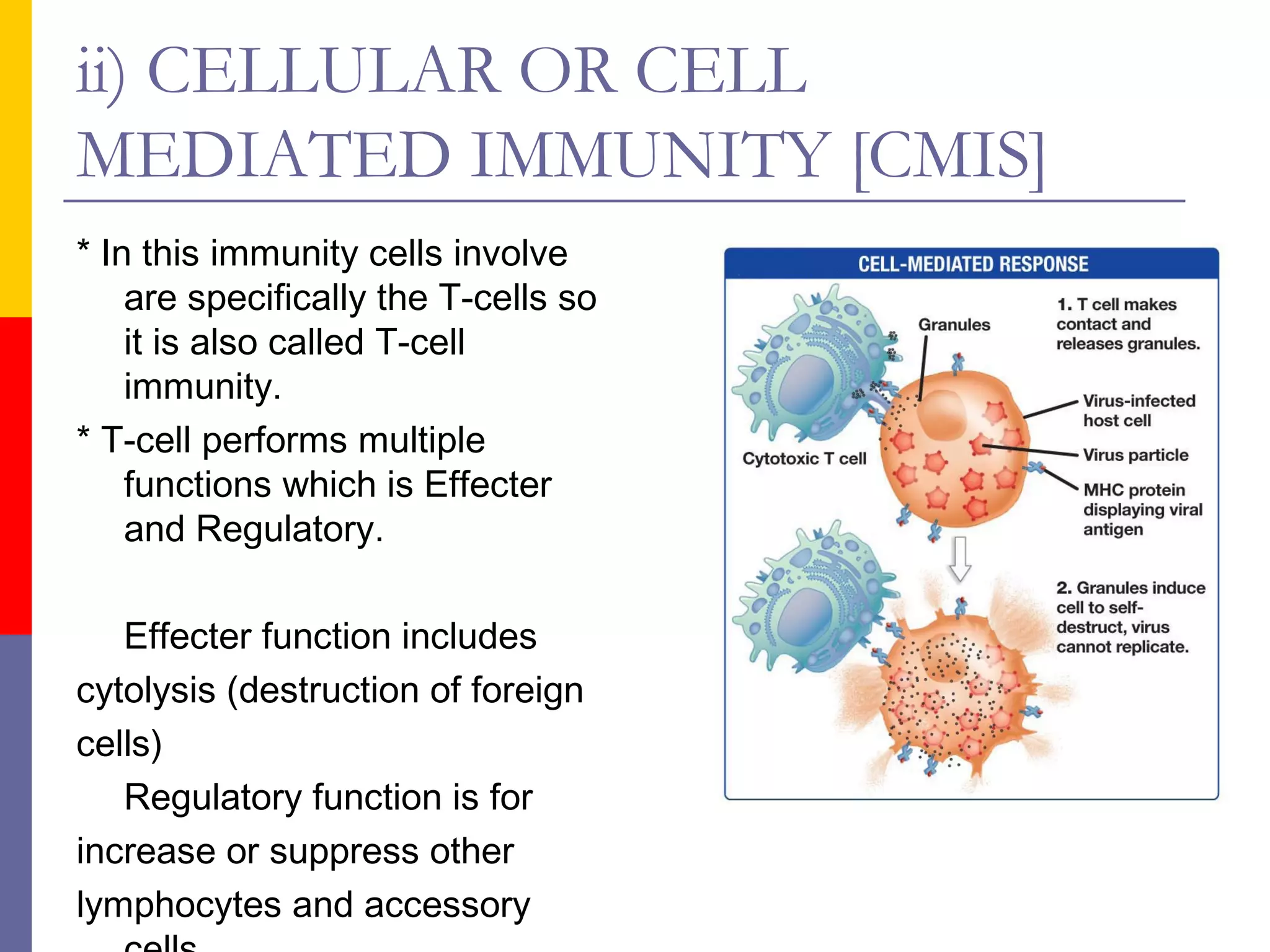 Basics of immunology | PPT