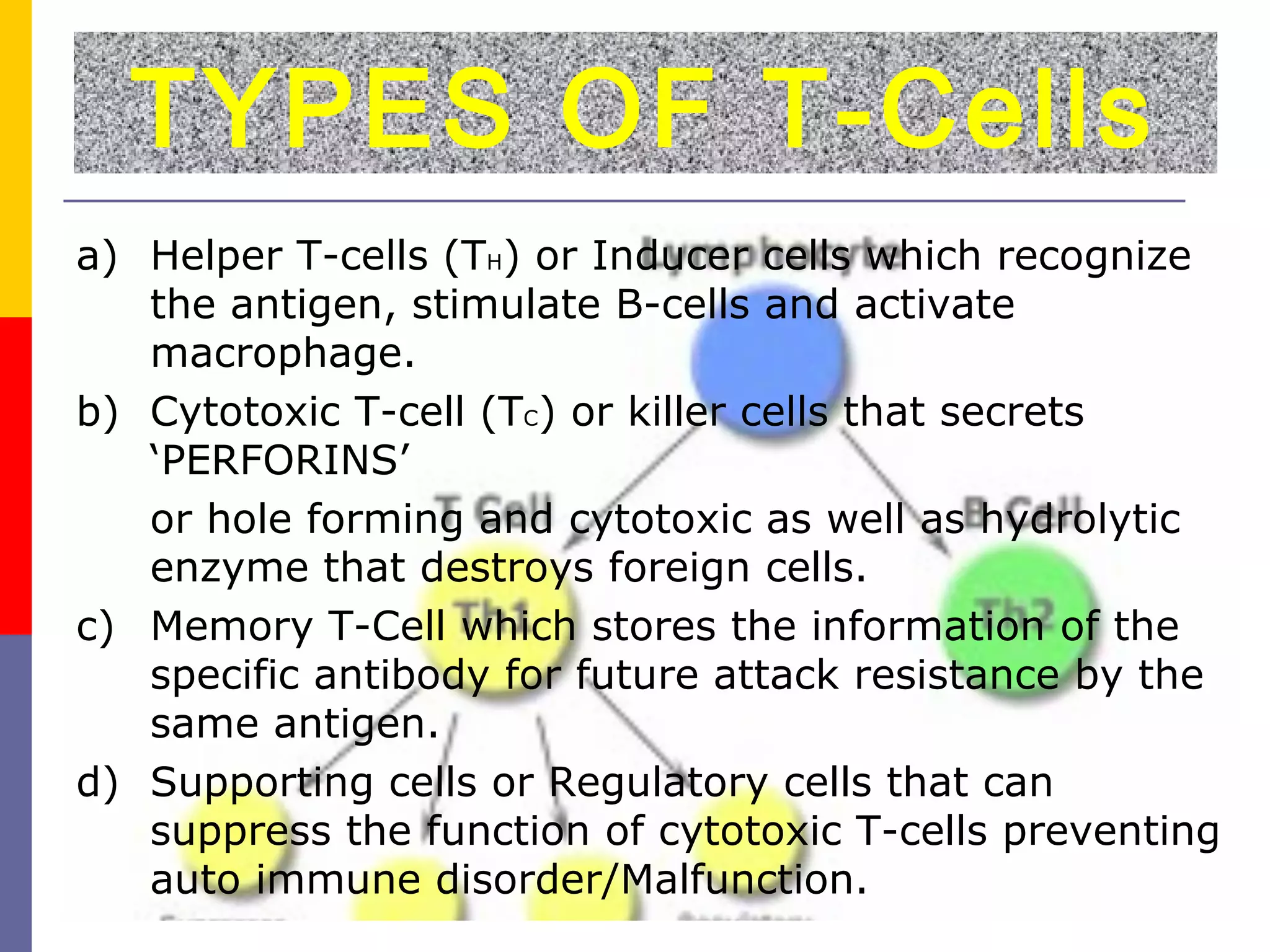 Basics of immunology | PPT