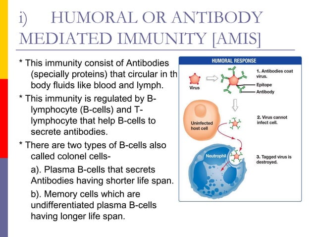 Basics of immunology | PPT