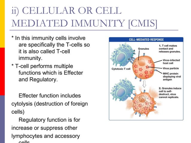 Basics of immunology | PPT