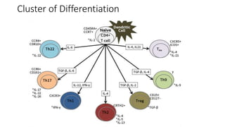 Basics of Immunology.ppt