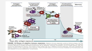 BASICS OF IMMUNOLOGY for beginners.pptx