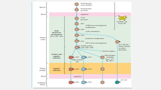 BASICS OF IMMUNOLOGY for beginners.pptx