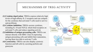 BASICS OF IMMUNOLOGY for beginners.pptx