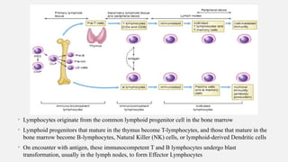 BASICS OF IMMUNOLOGY for beginners.pptx
