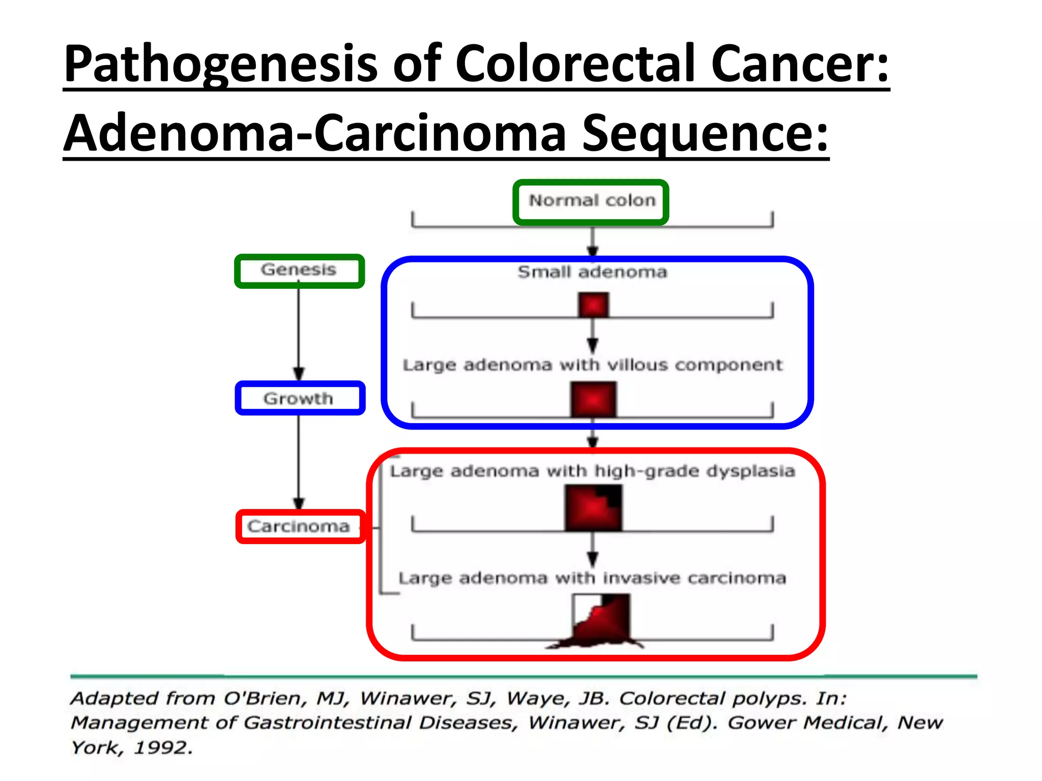 Basics of immunotherapy in colorectal cancer | PPTX