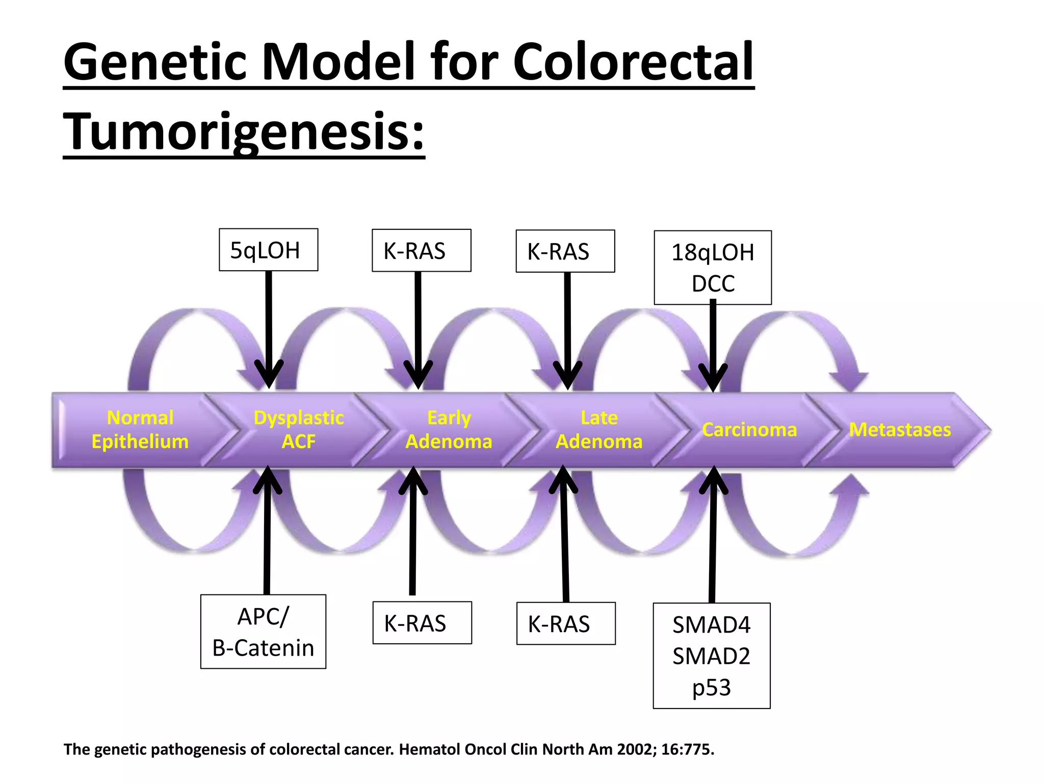 Basics of immunotherapy in colorectal cancer | PPTX