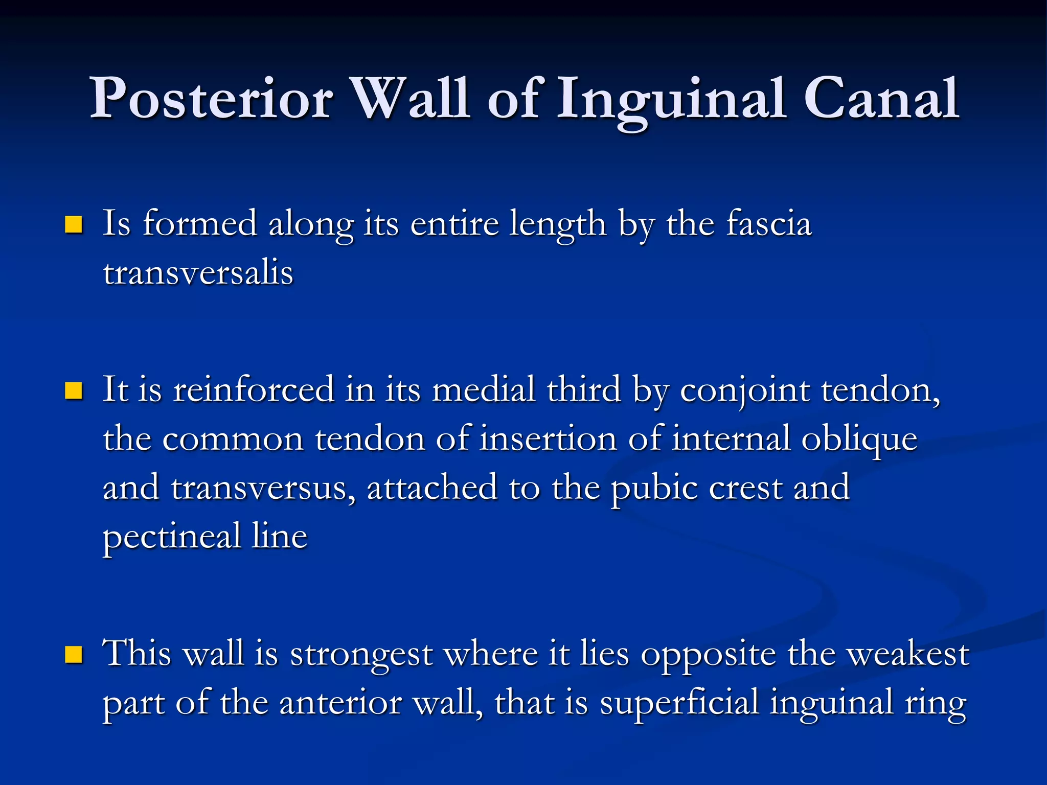 Basics Of Inguinal Hernias Ppt