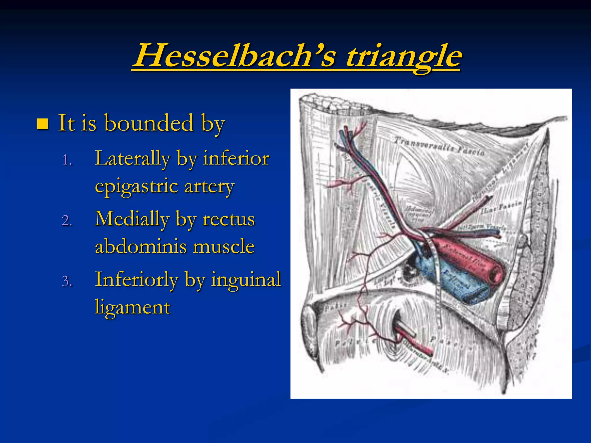 Basics of inguinal hernias | PPT