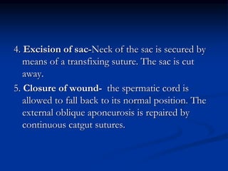 Basics of inguinal hernias | PPT
