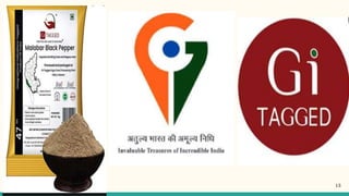 INTRODUCTION TO BASICS OF IPR & TRADEMARKS BY SHRADDHA PANDIT | PPTX