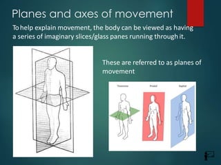 Basics of kinesiology by Dr. Bhanu Pratap | PPT