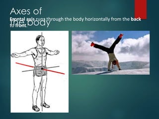 Basics of kinesiology by Dr. Bhanu Pratap | PPT