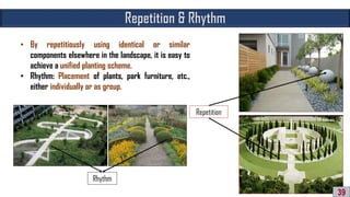 Basics of landscape design | PDF