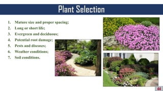 Basics of landscape design | PDF