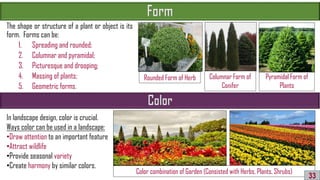Basics of landscape design | PDF