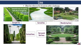 Basics of landscape design | PPT