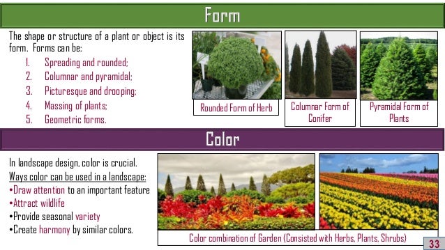 Basics of landscape design