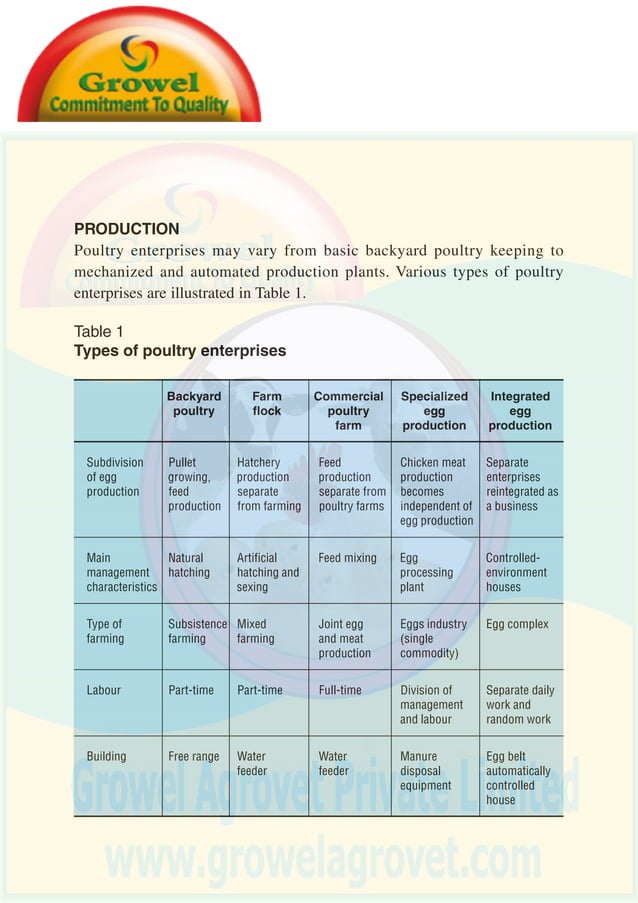 Basics of Layer Poultry Farming | PDF | Agriculture | Industries