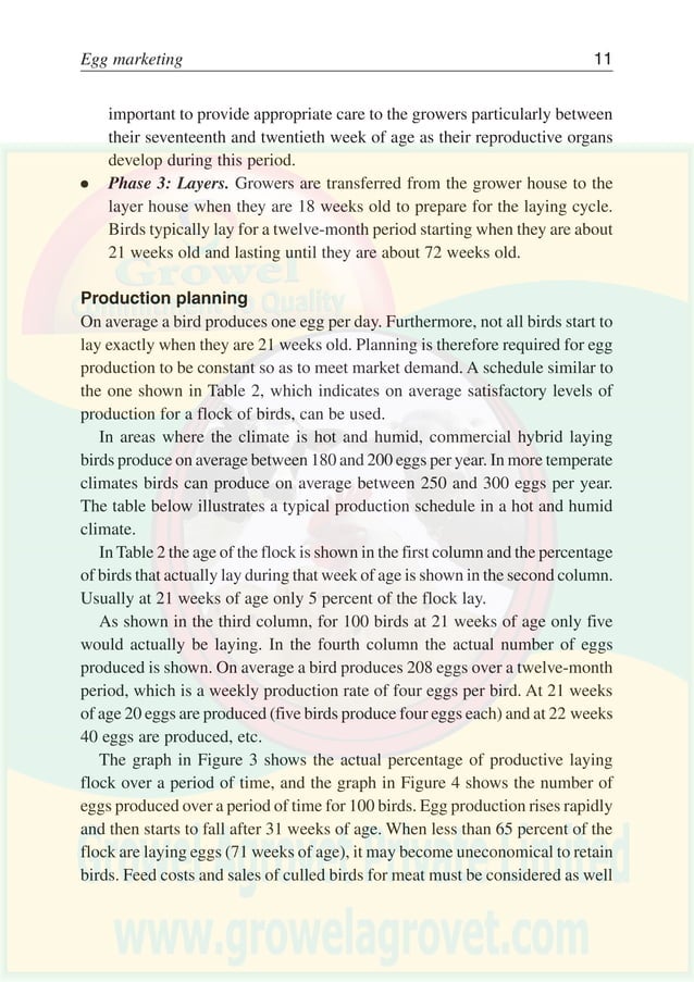 Basics of Layer Poultry Farming | PDF | Agriculture | Industries