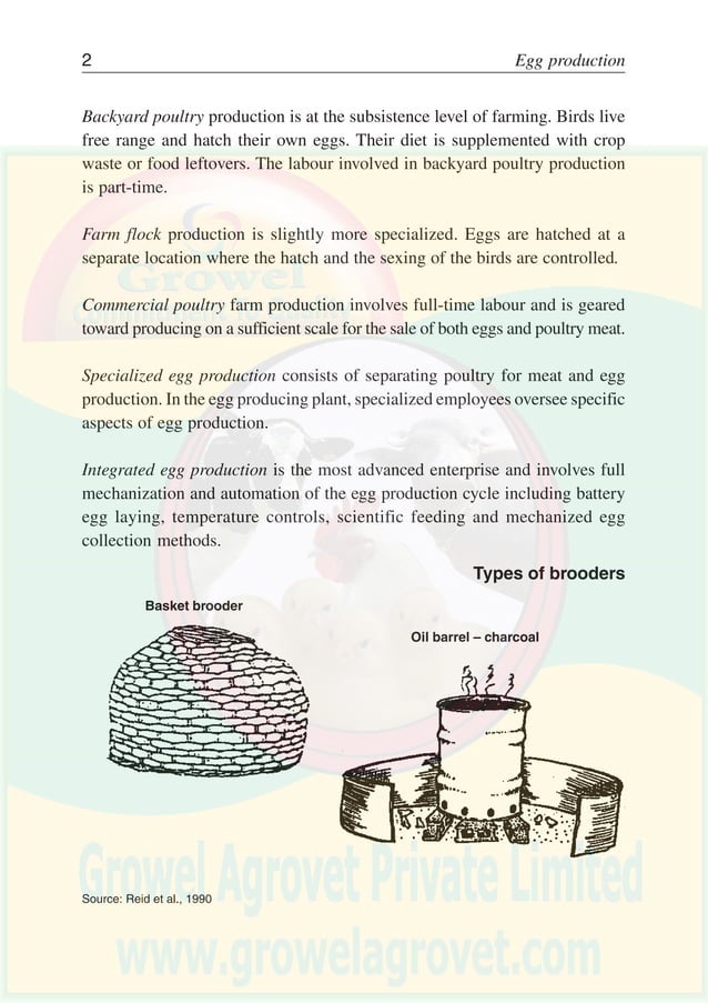 Basics of Layer Poultry Farming | PDF | Agriculture | Industries