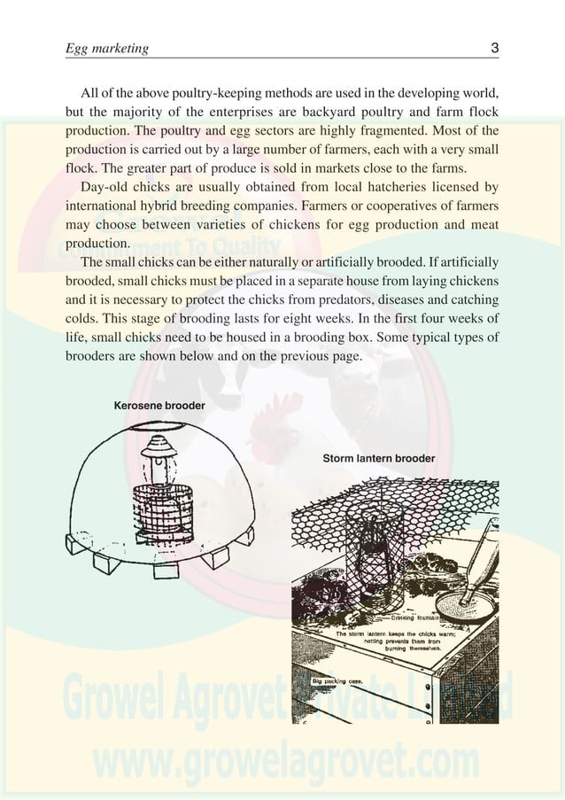 Basics of Layer Poultry Farming | PDF | Agriculture | Industries