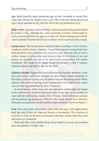 Basics of Layer Poultry Farming | PDF