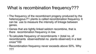 linkage and recombination.pptx
