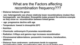 linkage and recombination.pptx