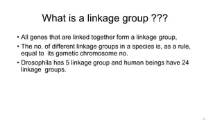 linkage and recombination.pptx