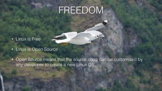 Basics of Linux | PPT