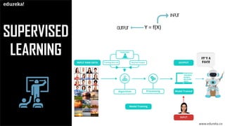 What Is Machine Learning? | Machine Learning Basics | Edureka | PDF