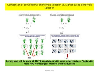 Basics of marker assisted background selection | PPTX