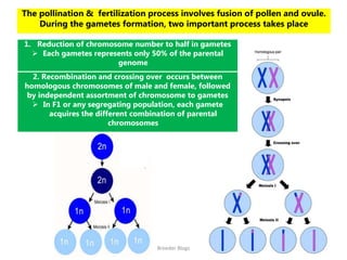 Basics of marker assisted background selection | PPTX
