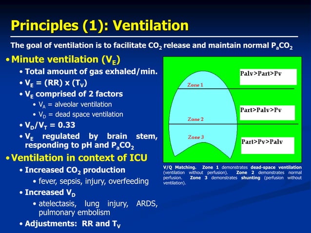 Basics of mechanical ventilation | PPSX | Lung and Respiratory Health ...