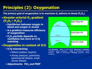 Basics of mechanical ventilation | PPSX