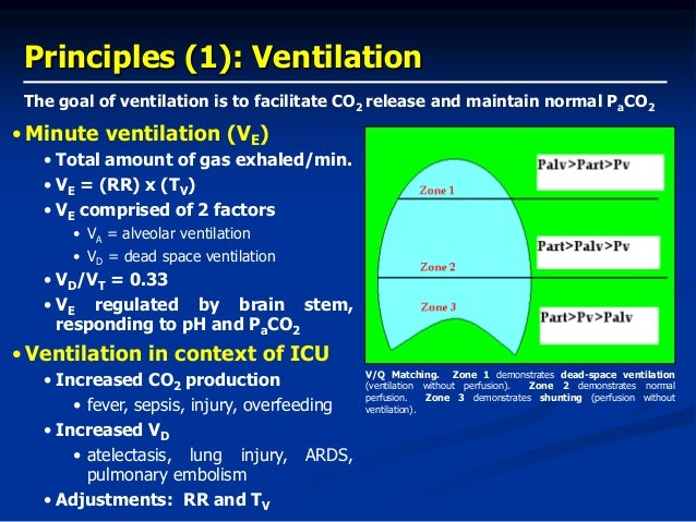 Basics of mechanical ventilation